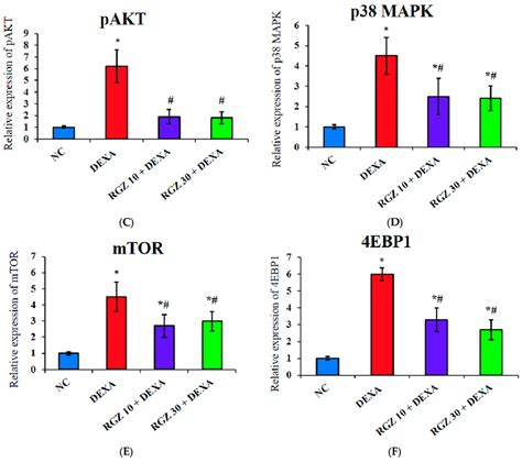 western blot bands a representing the analysis of the expression of