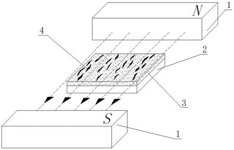 Preparation Method And Application Of Pdms Polydimethylsiloxane Magnetic Nano Particle