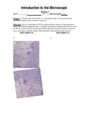 Mastering Microscope Skills Focusing Magnification And Care Course Hero