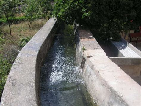Aragosa