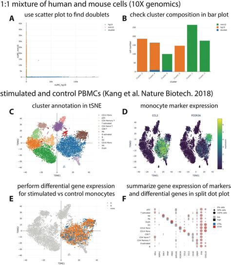 Visualization Of Publicly Available Scrna Seq Data A B Scrna Seq