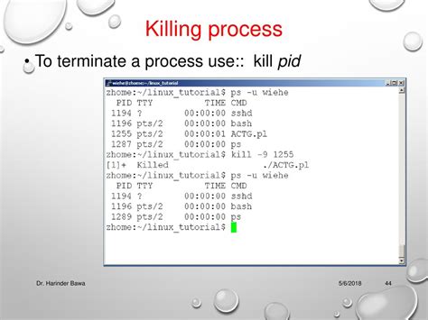 Kill Process By Pid Rust At Robert Guajardo Blog