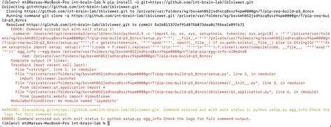 Error With Updating Iblviewer Issue Int Brain Lab Iblviewer GitHub
