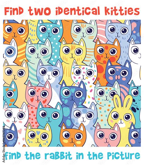 Find Two Identical Cats Find The Rabbit In The Picture Find 2 Same