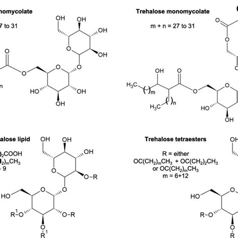 PDF Biotechnology Of Rhodococcus For The Production Of Valuable Compounds