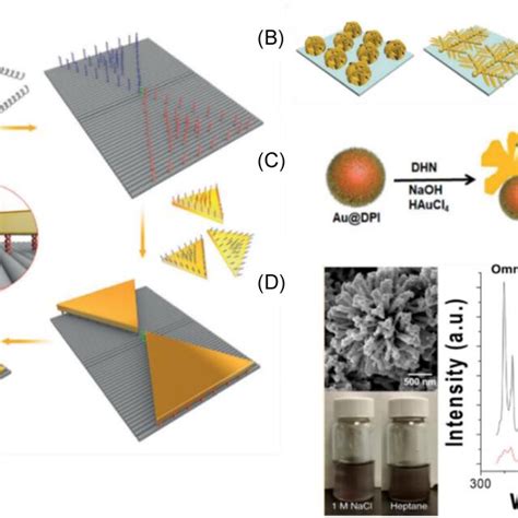 Different Nanostructures With Ship Tips Or Corners A Bowtie