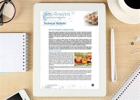 Application Note The Use Of Enzymes In Egg Processing New Food Magazine