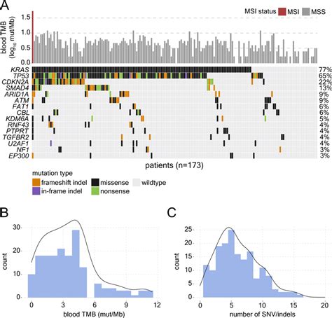 Somatic Mutation Landscape Of Mpdac Detected Using Liquid Biopsy Download Scientific Diagram