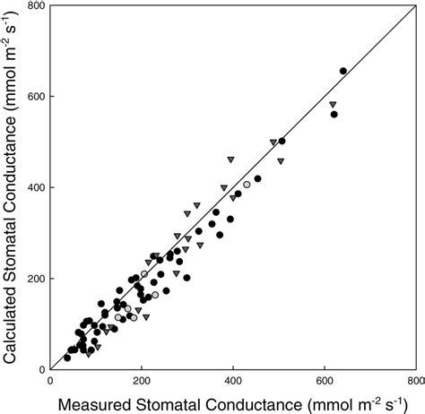 A Comparison Between Stomatal Conductance Calculated From Thermal