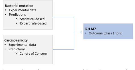 Figure 1 From Implementation Of In Silico Toxicology Protocols Within A Visual And Interactive