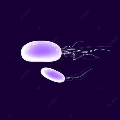 Virus Cell Realistic Vector Illustration Vector Cholera Pink Png And