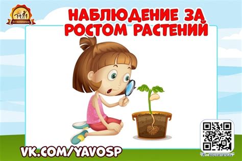 Цикл роста и развития растений презентации дневник наблюдений конспекты занятий