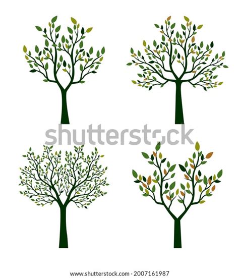 Collection Tree Colour Leaves Vector Outline Stock Vector Royalty Free 2007161987 Shutterstock