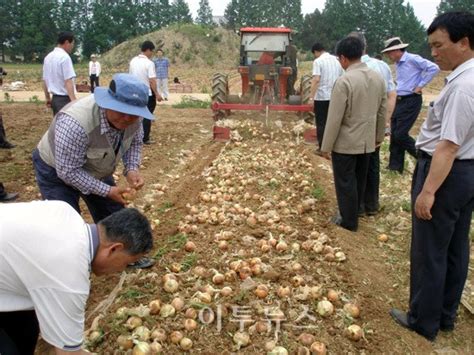 무안군 양파 산업의 메카로 도약 글로벌 녹색성장 미디어 이투뉴스
