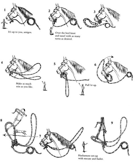 Preserving The Vaquero Tradition Hackamore Set Up With Mecate And Fiador Preserving The