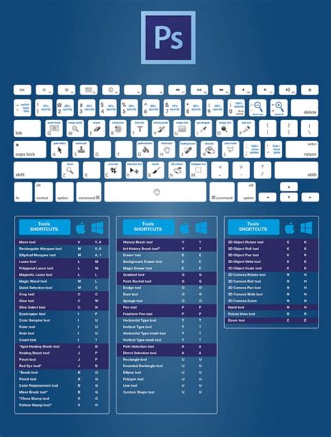 learn photoshop all of the basics for beginners vandelay design