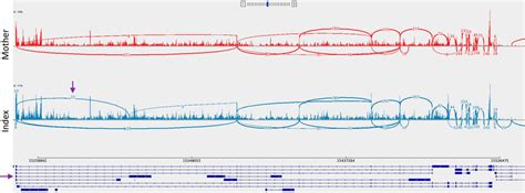 Sashimi Plot For Jarid2 Gene In The Index Blue And Mother Red The