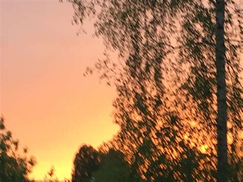 The Sun Is Setting Behind Some Trees