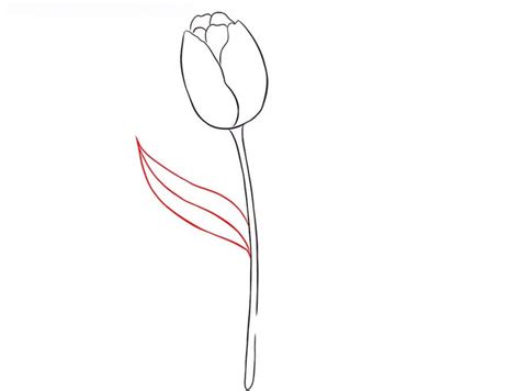 نقاشی گل لاله با آموزش تصویری به کودکان