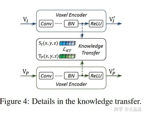 UVTR Unifying Voxel Based Representation With Transformer For 3D