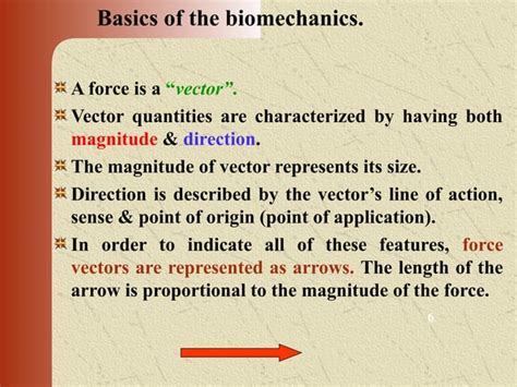 Loops In Orthodontics And Its Uses [autosaved] Ppt