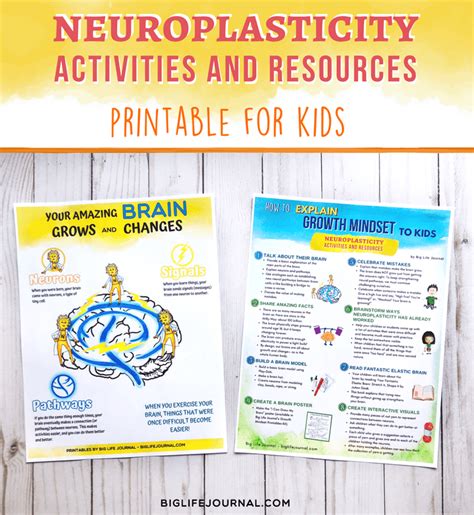 8 Neuroplasticity Ideas Neuroplasticity Think Positive Thoughts