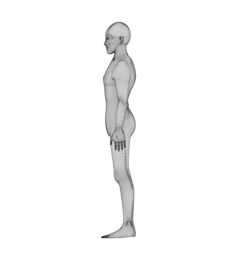 Premium Photo Three Dimensional Image Of Human Body Against White