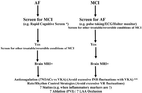 A Suggested Algorithm For Screening For Atrial Fibrillation AF And Or Download Scientific