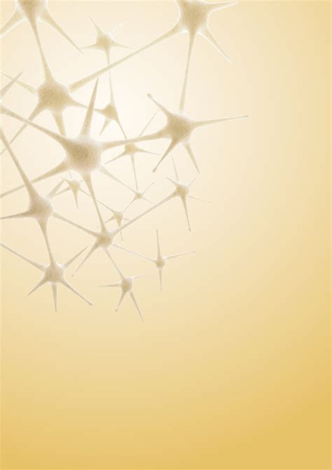 D Neural Network Behance