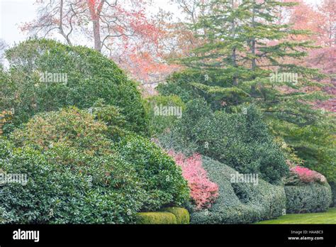 Expertly Cut And Shaped Hedges And Bushes In A Prized Landscaped Yard Stock Photo Alamy