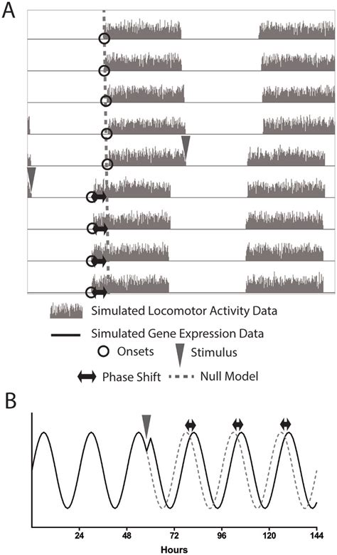 Schematic View Of Phase Shift Estimation A A Simulated Actogram