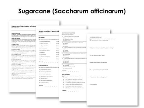 Sugarcane Saccharum Officinarum Teaching Resources