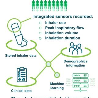 A Schematic Overview Of The Study Download Scientific Diagram