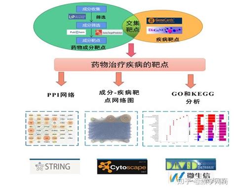 什么是网络药理学？专业科普带你了解网药框架 知乎
