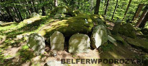 Okolice Szklarskiej Poręby Piechowice Zapomniany Cmentarz W Lesie