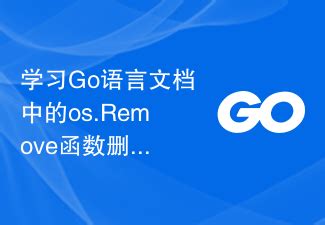 Learn The Os Remove Function In Go Language Documentation To Delete