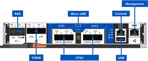 Netapp All Flash Fas Aff A220 купить Compuway