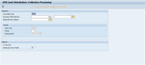 DIS N SAP Tcode Distribution Collective Processing