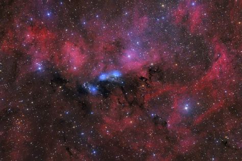 Ngc 6914 And Surrounding Nebulae Imaged From My Backyard Scrolller