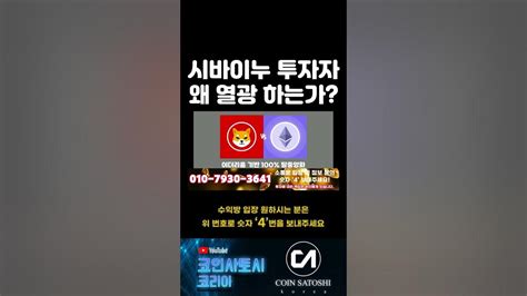 시바이누 투자자 왜 열광 하는가 코인 코인뉴스 시바이누코인 리플 비트코인 코인추천 경제적자유 코린이 코인투자 성공 코인베이스 Youtube