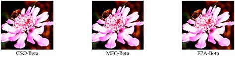 Adaptive Image Enhancement Algorithm Based On Variable Step Fruit Fly