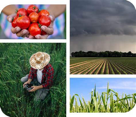 Crop Monitoring Alliance Agritech