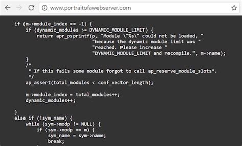 Portrait Of A Web Server Esoteric Codes