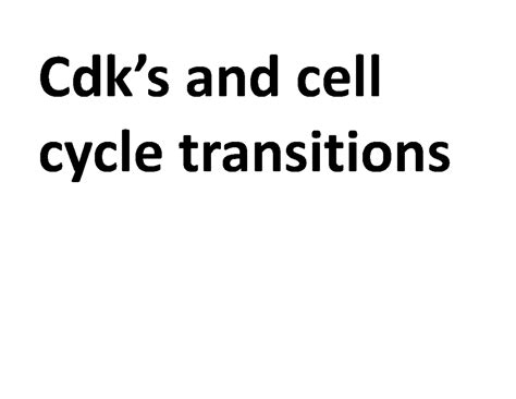 Cell Cycle Regulation And Stem Cell Dynamics In Tissue Renewal Cdks And Cell Cycle