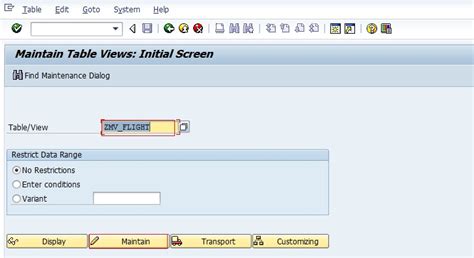 Maintenance View SAPCODES
