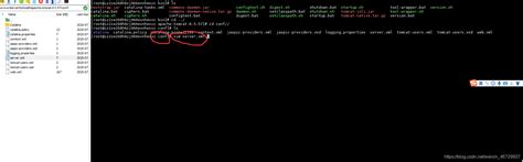 通过tomcat直接访问文件（图片，视频····）linux通过tomcat访问本地视频 Csdn博客