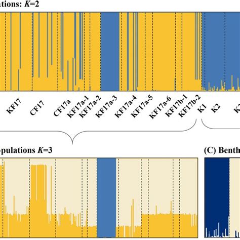 Results Of Genetic Structure Using A Bayesian Population Assignment