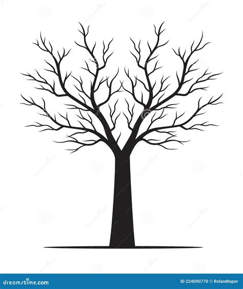 Shape Of Tree Vector Outline Illustration Plants In Garden Stock Illustration Illustration