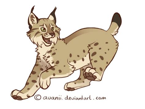 Happy Lynx Animal Drawings Animal Illustration Art Cat Drawing