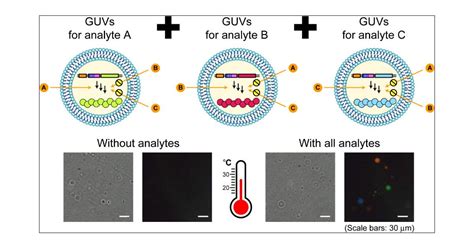 Simultaneous Detection Of Multiple Analytes At Ambient Temperature